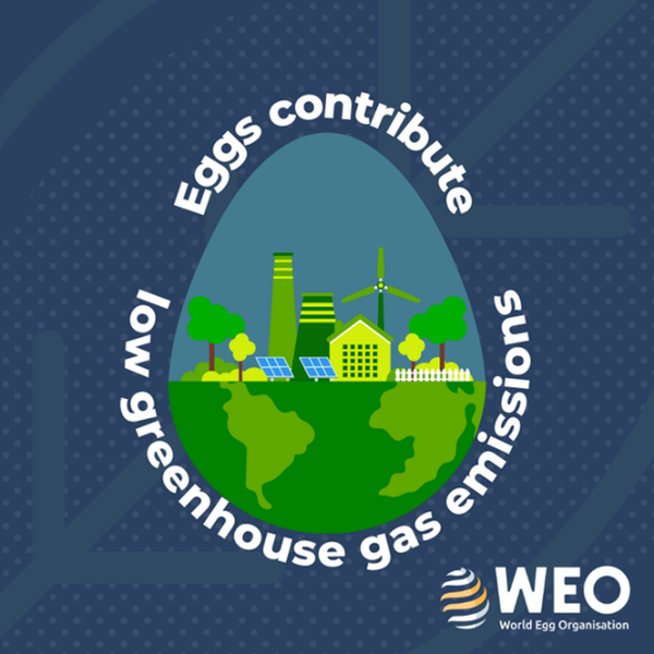 Eggs: Naturally Sustainable - World Egg Organisation