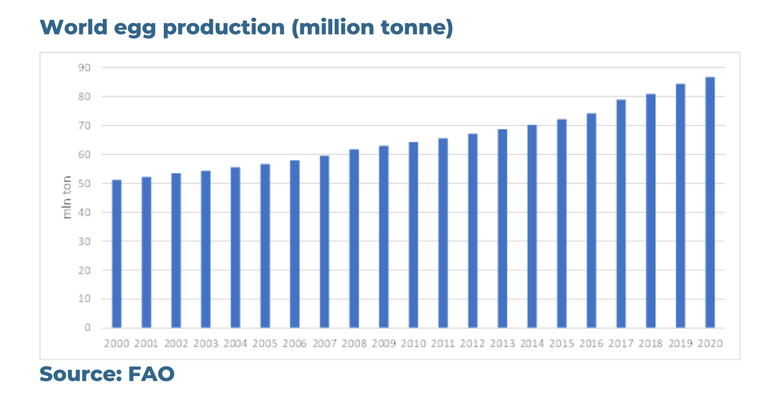 Global egg production continues to increase at an average of 3% per ...