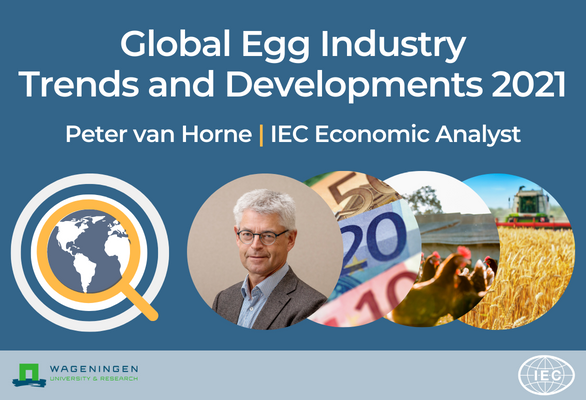 Global egg production continues to increase at an average of 3% per ...